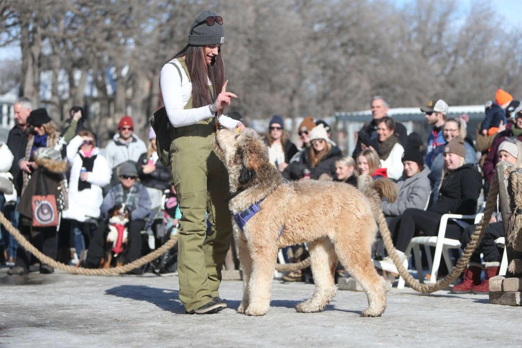 Strutt Your Mutt Dog Show | Vacation Okoboji